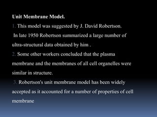 Plasmamembrane | PPT