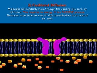 Plasma membrane | PPT
