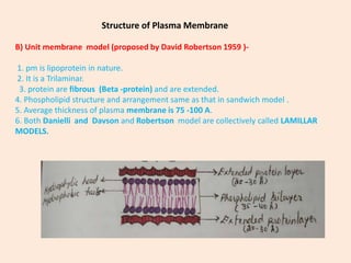 Plasma membrane | PPT