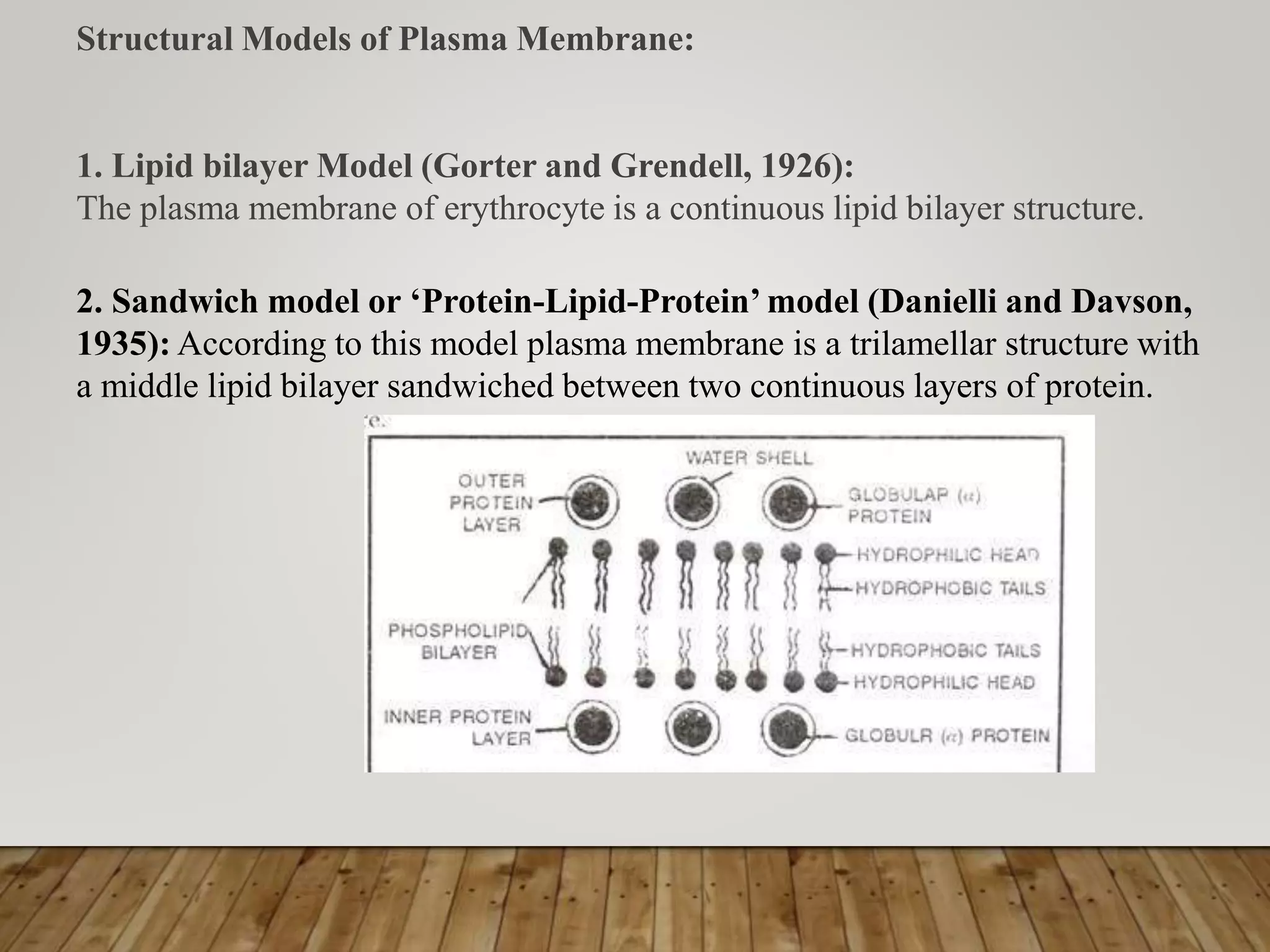 Plasma membrane | PPTX