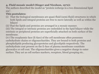 Plasma membrane | PPT