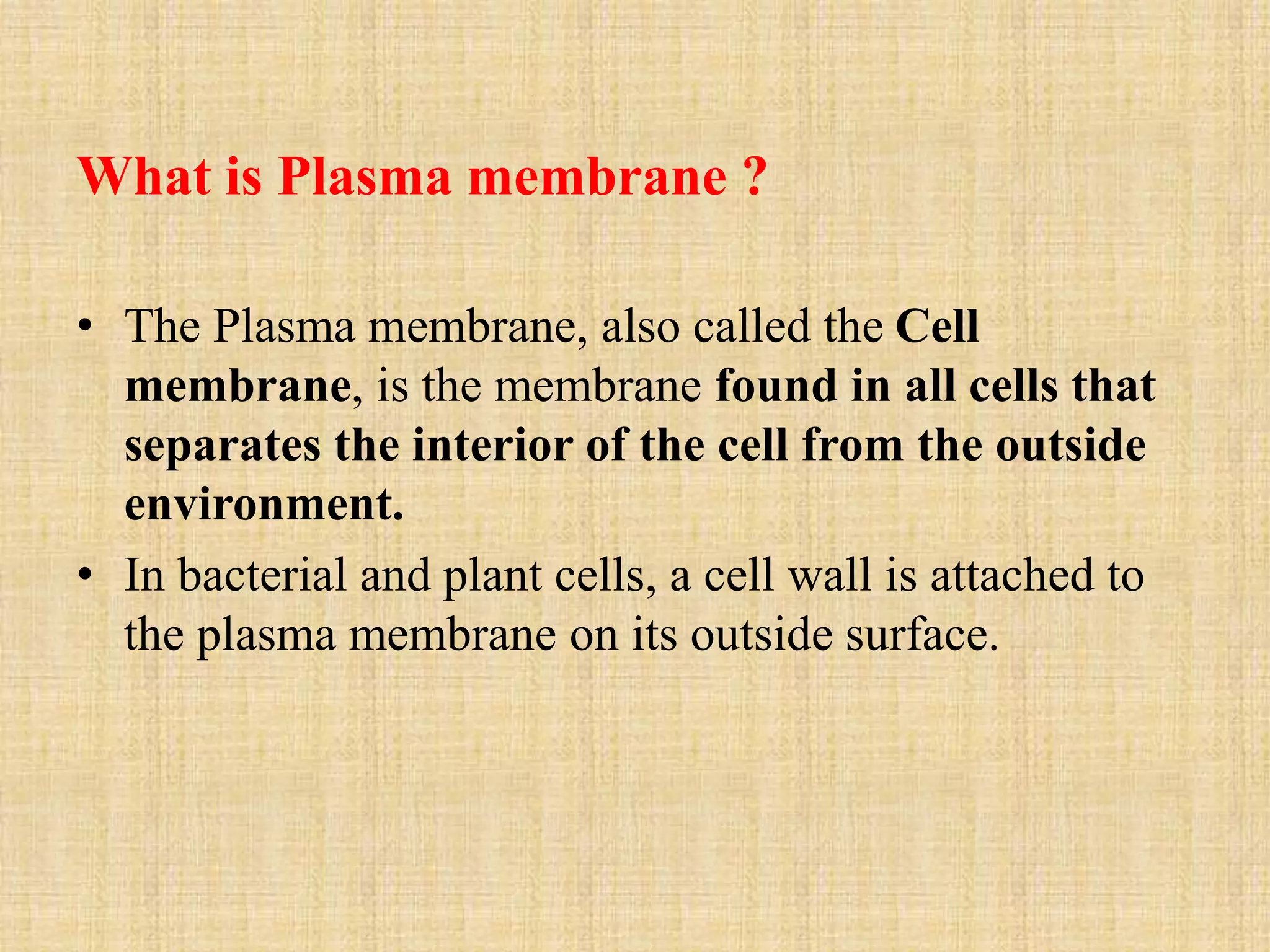 PLASMA MEMBRANE.pptx