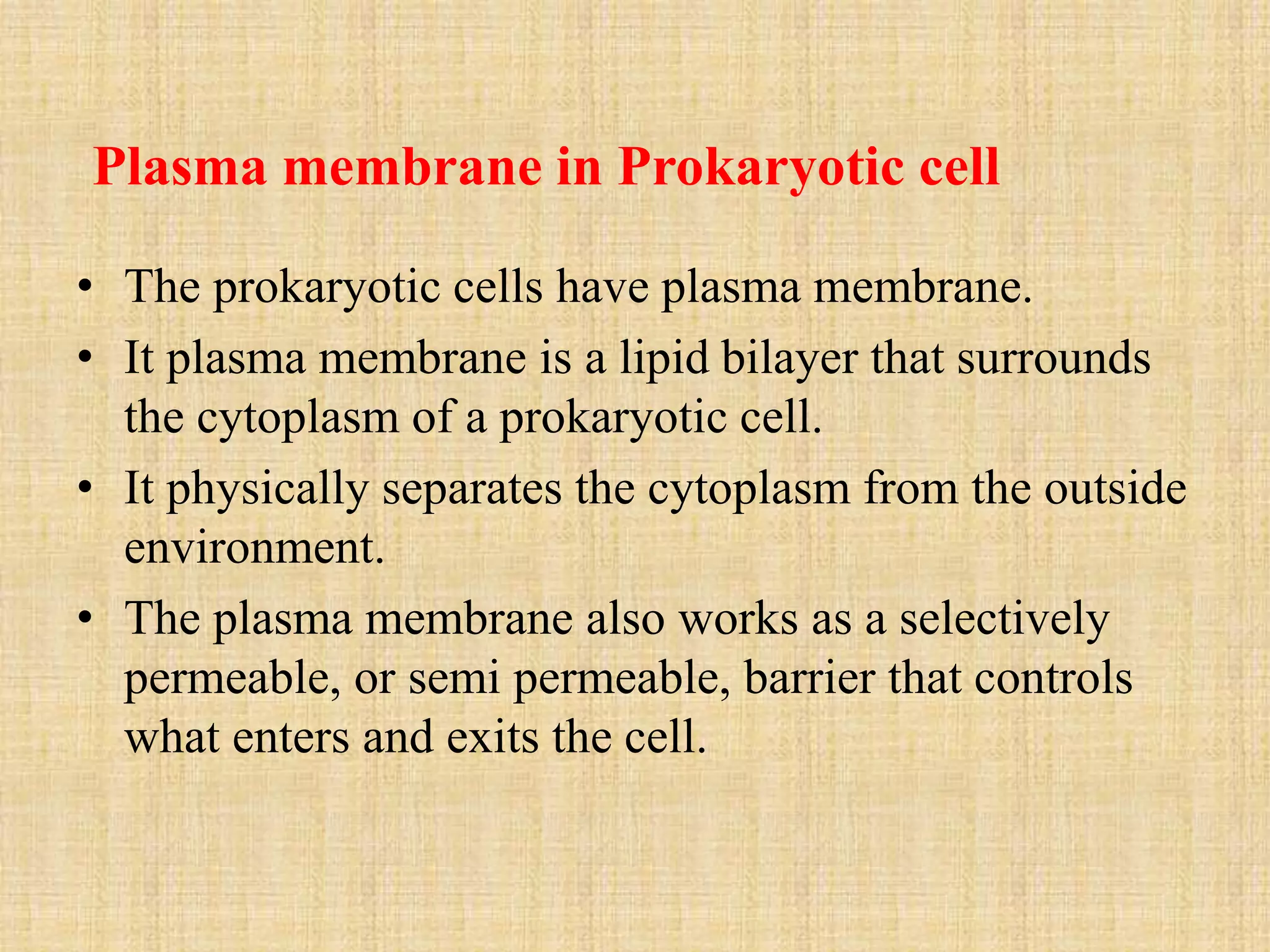PLASMA MEMBRANE.pptx | Free Download