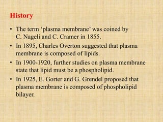 PLASMA MEMBRANE.pptx