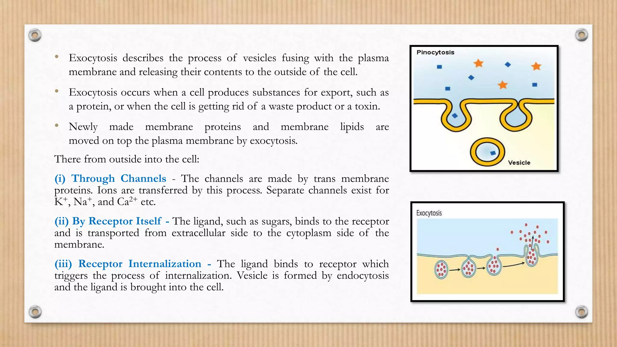 Plasma membrane.pptx
