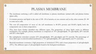 Plasma membrane.pptx