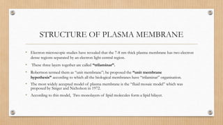 Plasma membrane.pptx