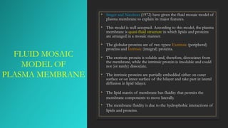Plasma membrane.pptx