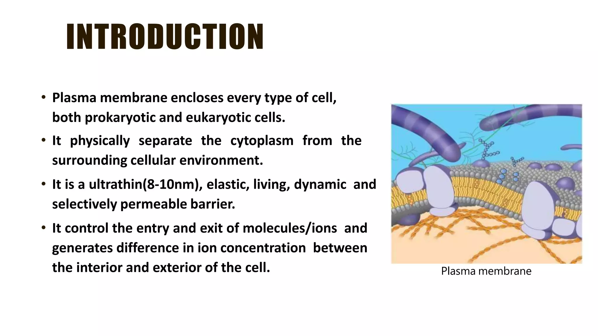 plasmamembrane.pptx