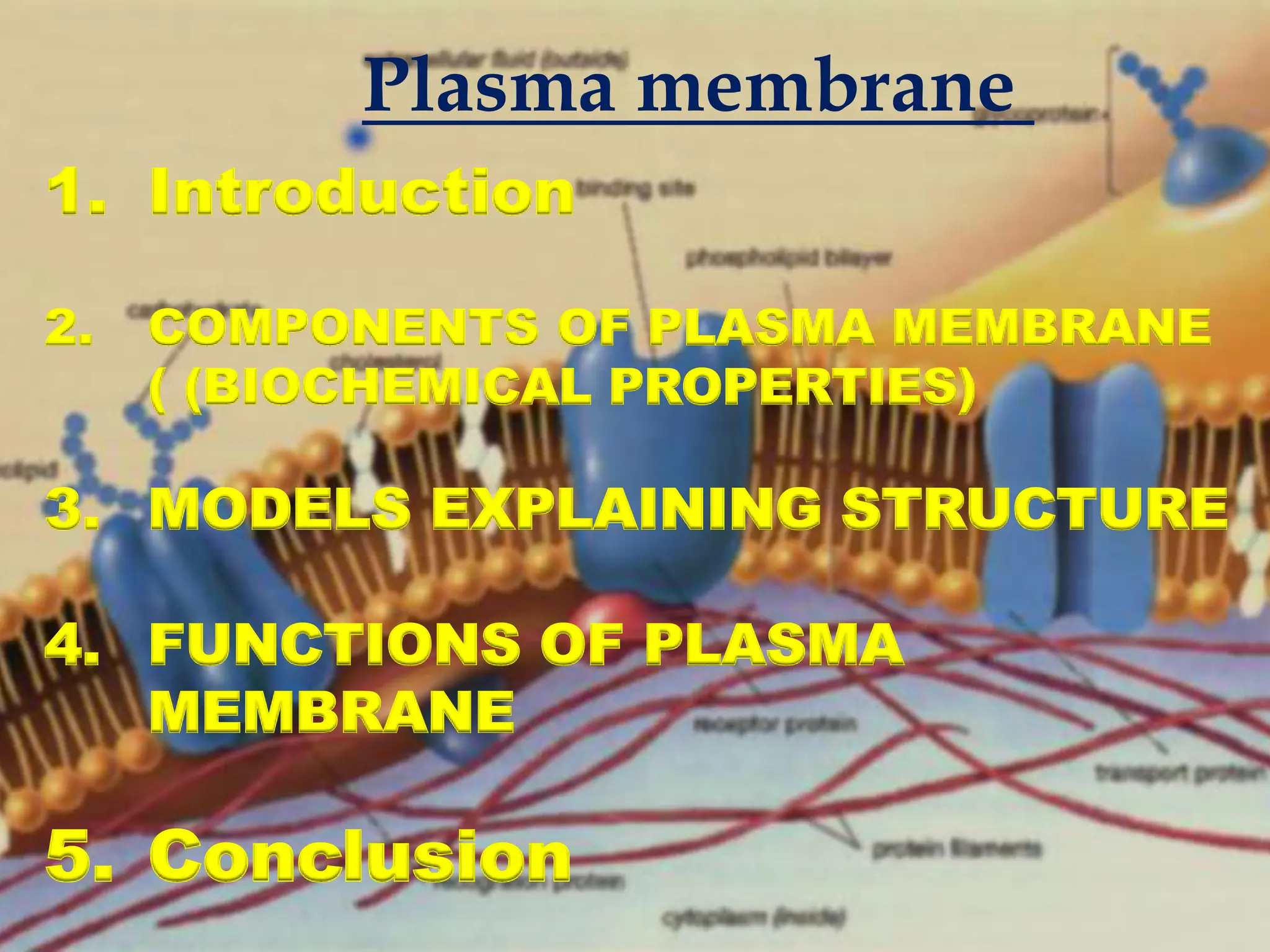 plasma membrane FUNCTION AND STUCTURE..pptx