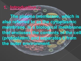plasma membrane FUNCTION AND STUCTURE..pptx