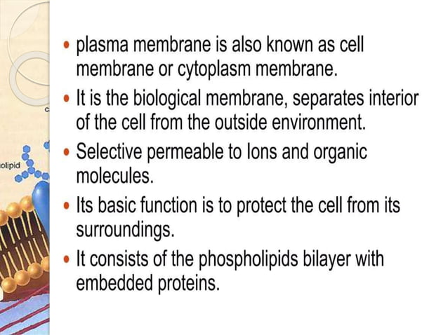plasma membrane FUNCTION AND STUCTURE..pptx