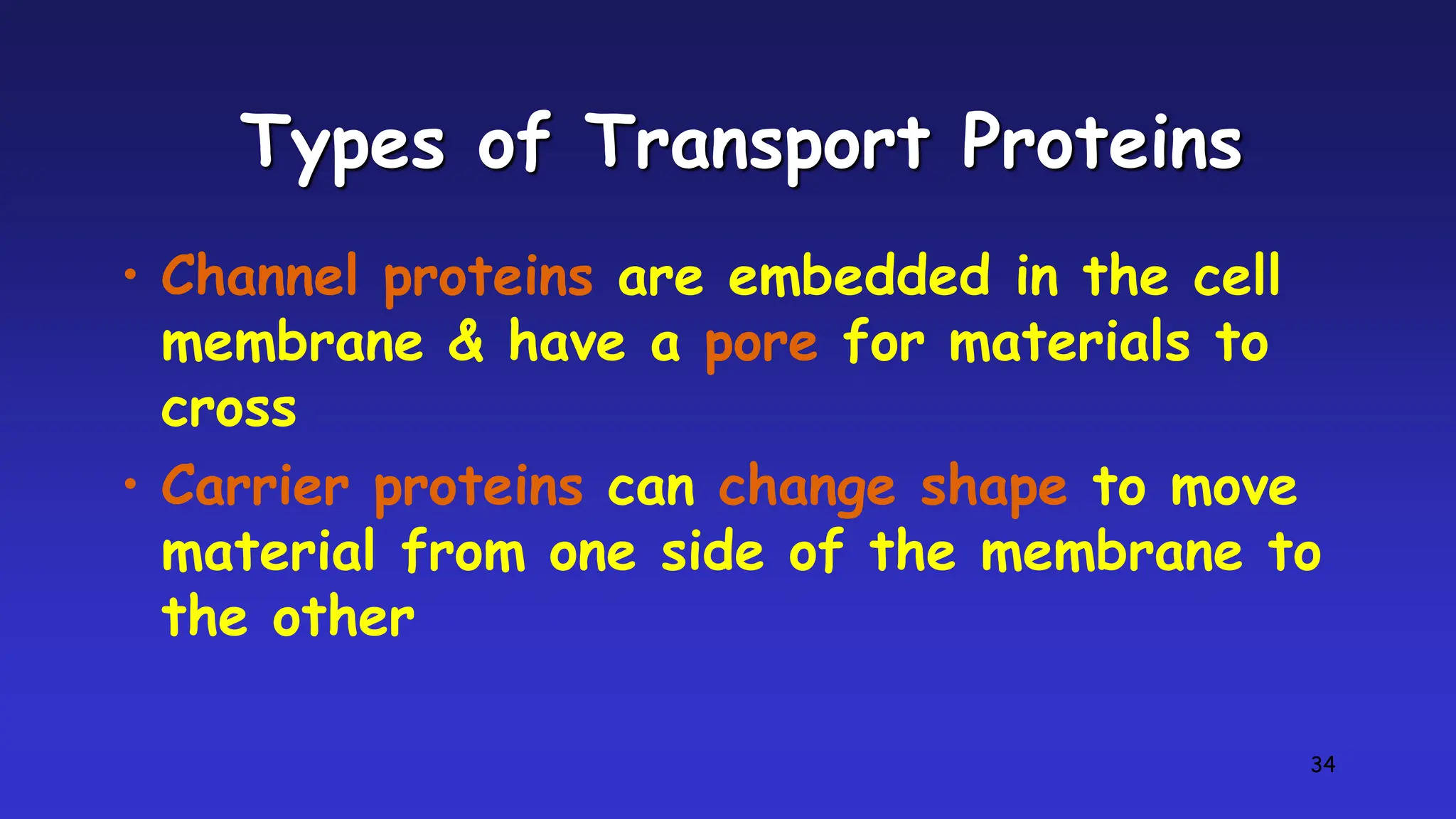 Plasma Membrane or Cell Membrane (Outer Layer in Animal Cells) | PPTX