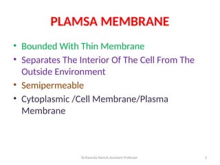 PLASMA MEMBRANE STRUCTURE AND FUNCTIONS | PPT