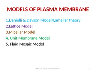 PLASMA MEMBRANE STRUCTURE AND FUNCTIONS | PPT
