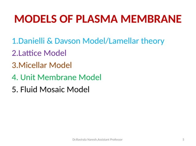 PLASMA MEMBRANE STRUCTURE AND FUNCTIONS | PPT
