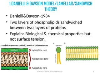 PLASMA MEMBRANE STRUCTURE AND FUNCTIONS | PPT