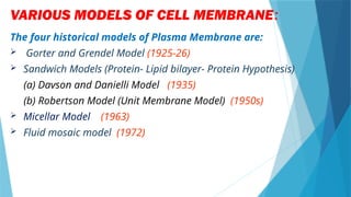 PLASMA MEMBRANE: models to describe its structure | PPT
