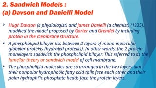 PLASMA MEMBRANE: models to describe its structure | PPT