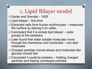 Plasma membrane structure | PPT