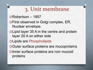 Plasma membrane structure | PPT