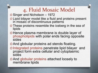 Plasma membrane structure | PPT