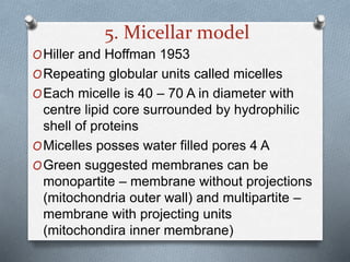 Plasma membrane structure | PPT