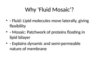 Plasma_Membrane_Fluid_Mosaic_Model_Presentation.pptx