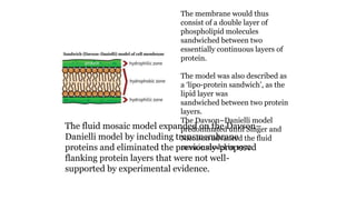 cell biology: Plasma Membrane models.pptx