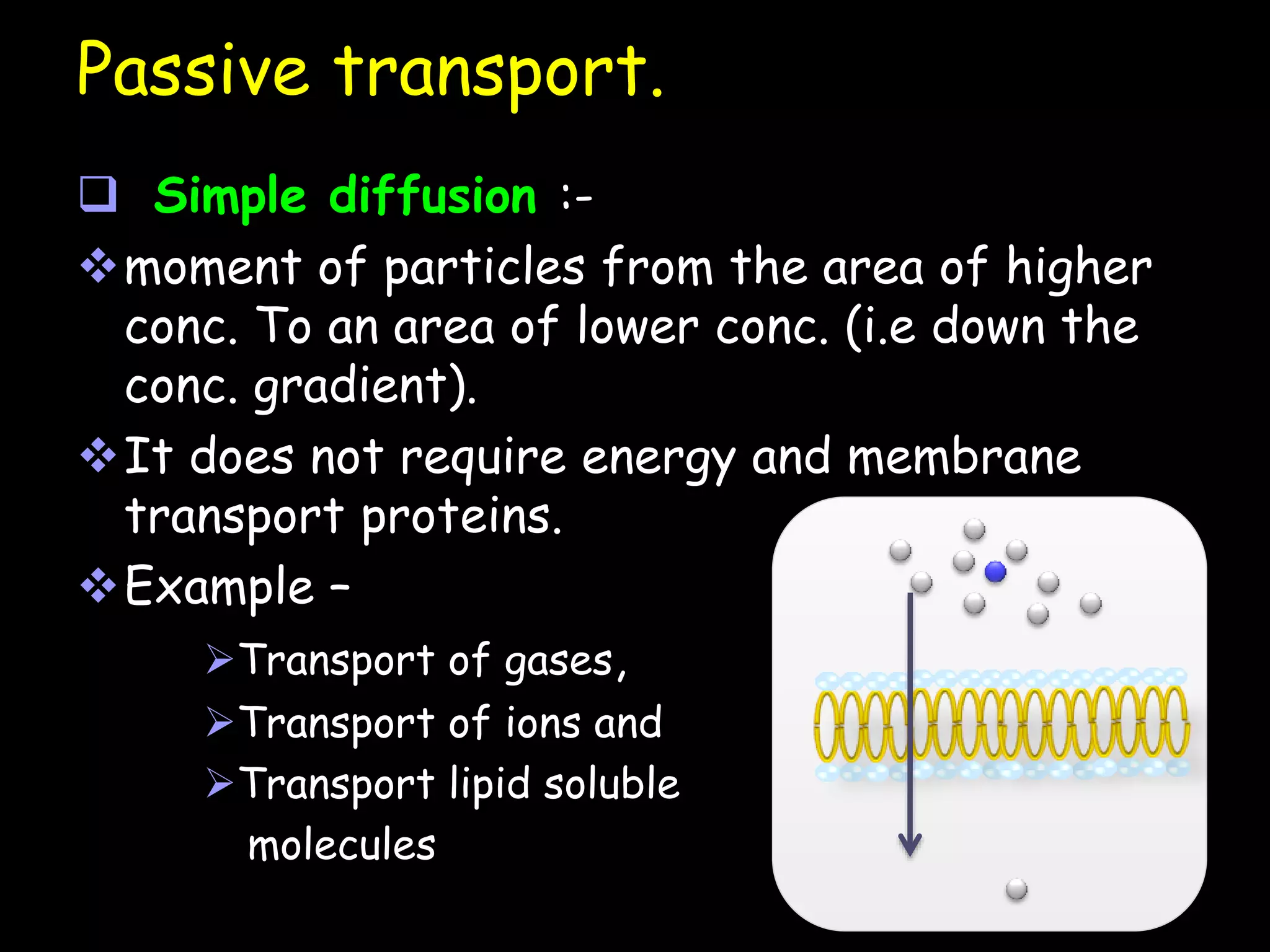 Plasma membrane - | PPSX