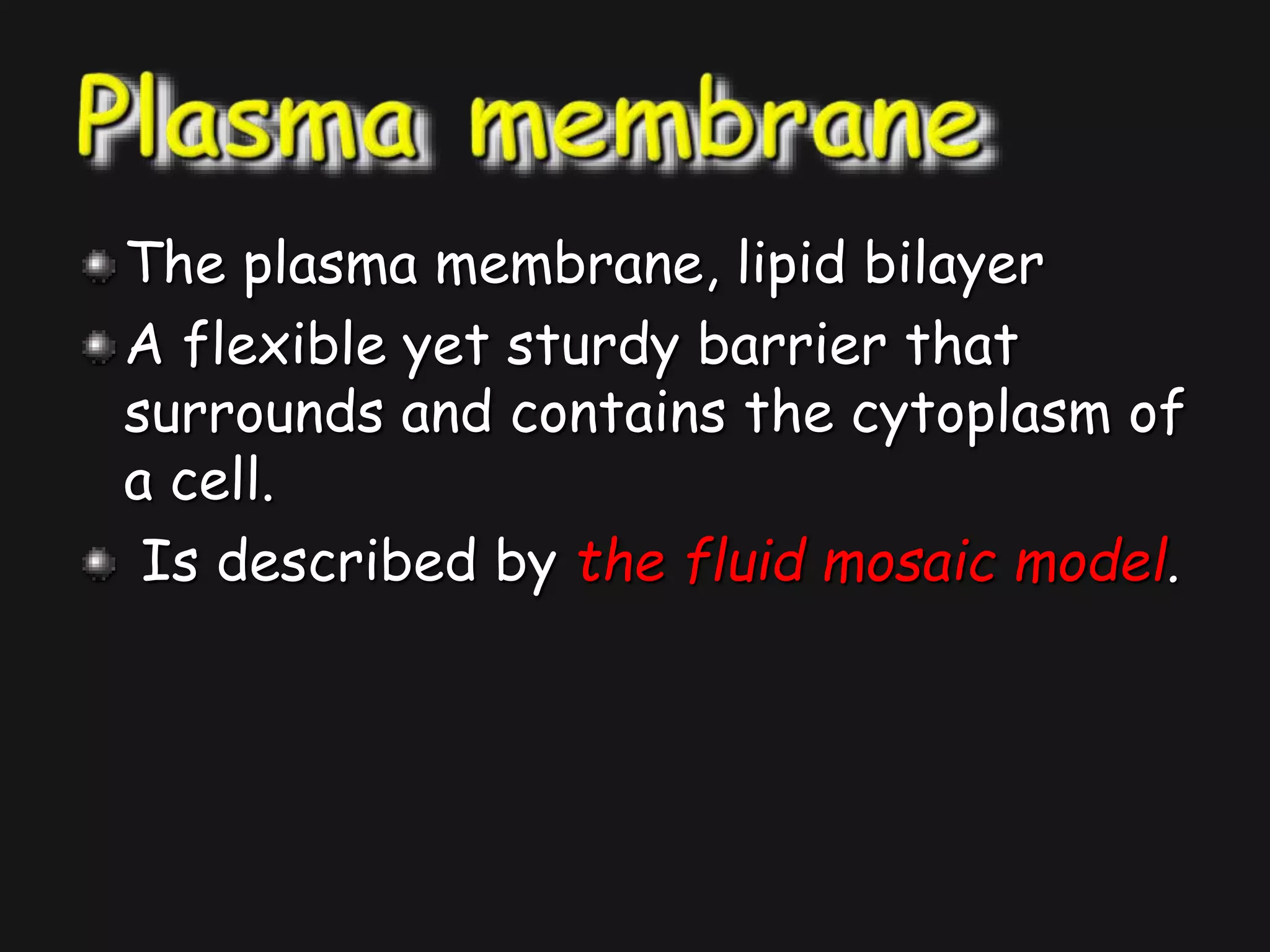 Plasma membrane - | PPSX
