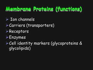 Plasma membrane - | PPSX