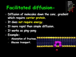 Plasma membrane - | PPSX