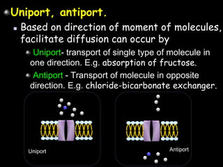 Plasma membrane - | PPSX