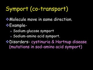 Plasma membrane - | PPSX