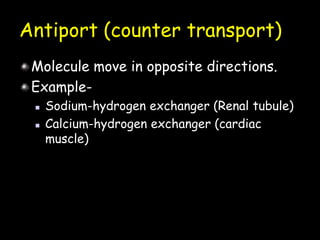 Plasma membrane - | PPSX
