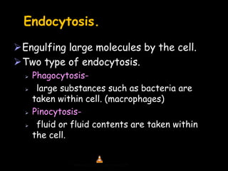 Plasma membrane - | PPSX