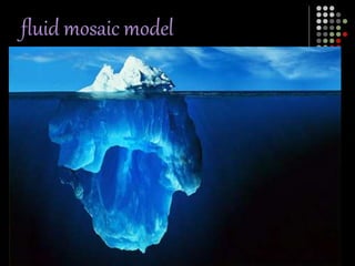 Plasma membrane - | PPSX