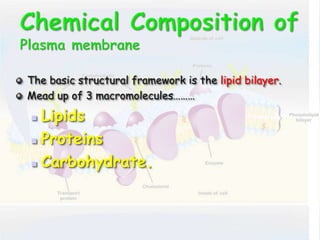 Plasma membrane - | PPSX