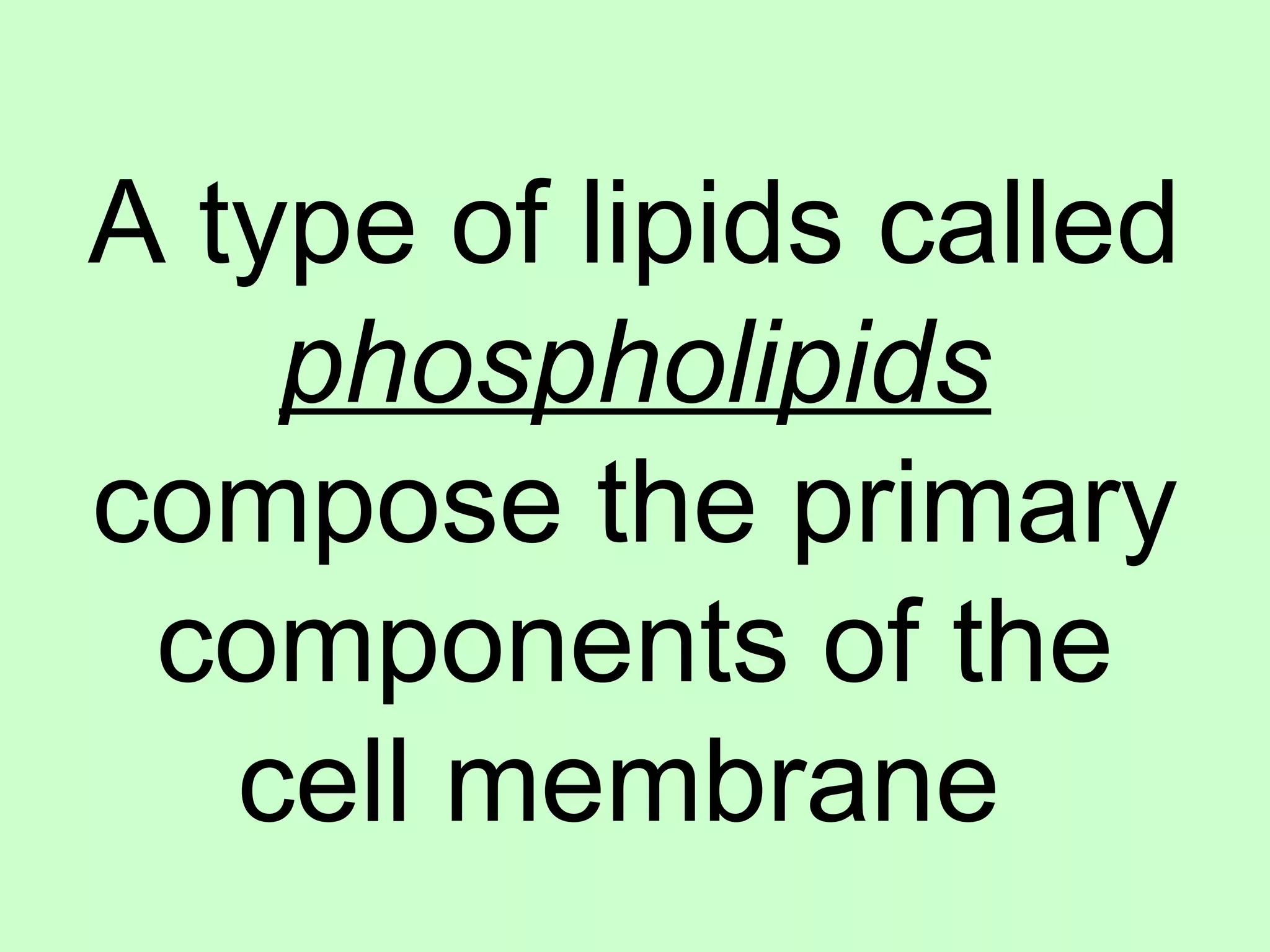 Plasma membrane notes (simple) | PPT | Chemistry | Science