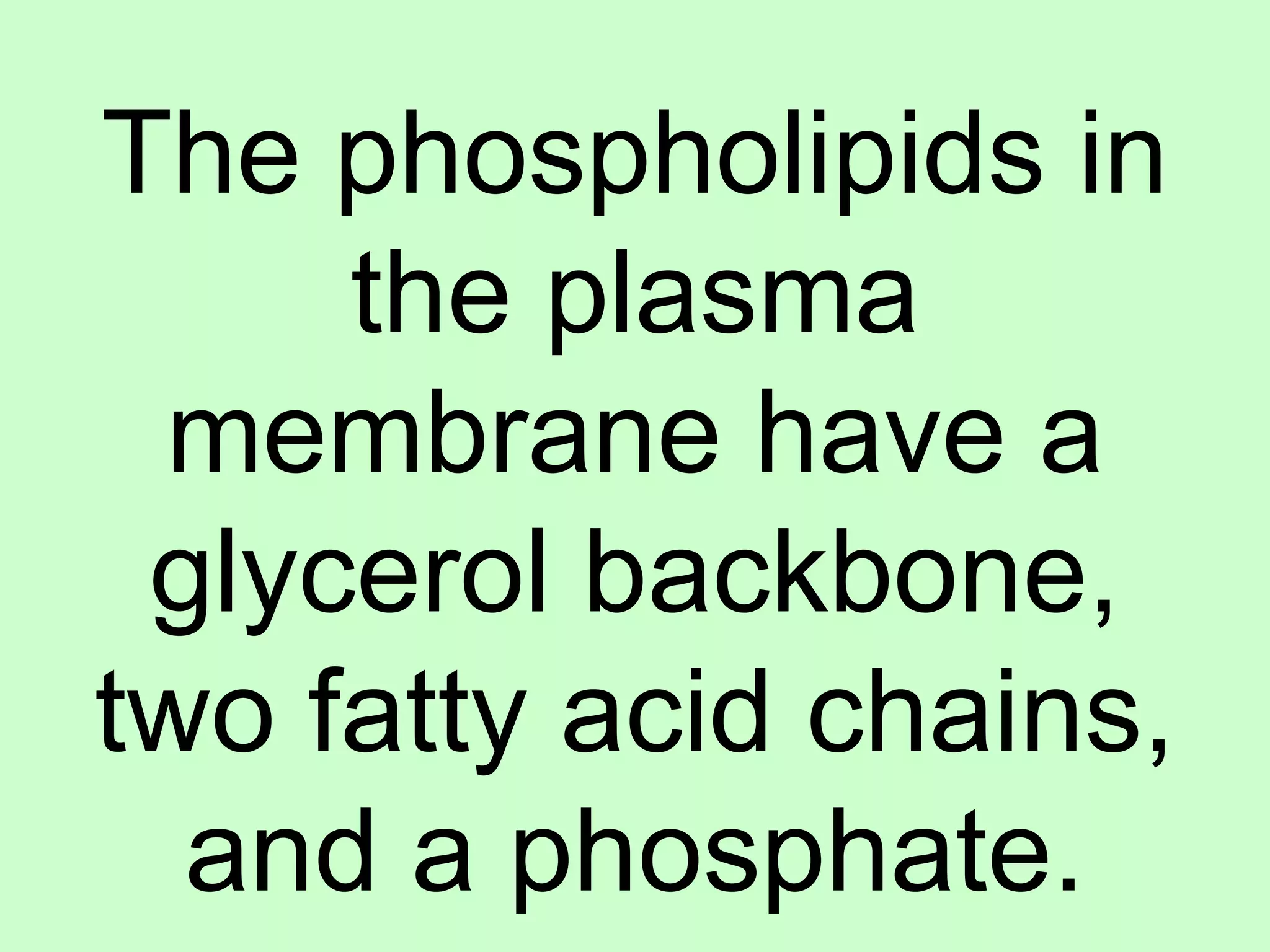 Plasma membrane notes (simple) | PPT | Chemistry | Science