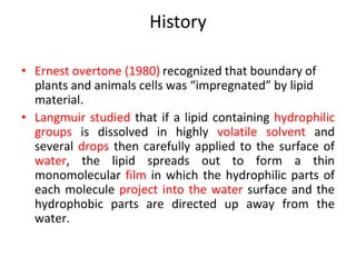 Plasma membrane or cell membrane (2).pptx