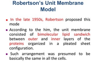 Plasma membrane or cell membrane (2).pptx