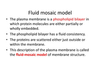 Plasma membrane or cell membrane (2).pptx