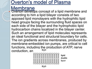 Plasma membrane - The Nature protection from the outside world | PPTX