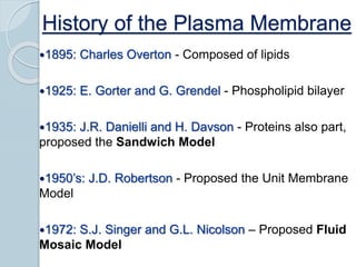 Plasma membrane - The Nature protection from the outside world | PPT