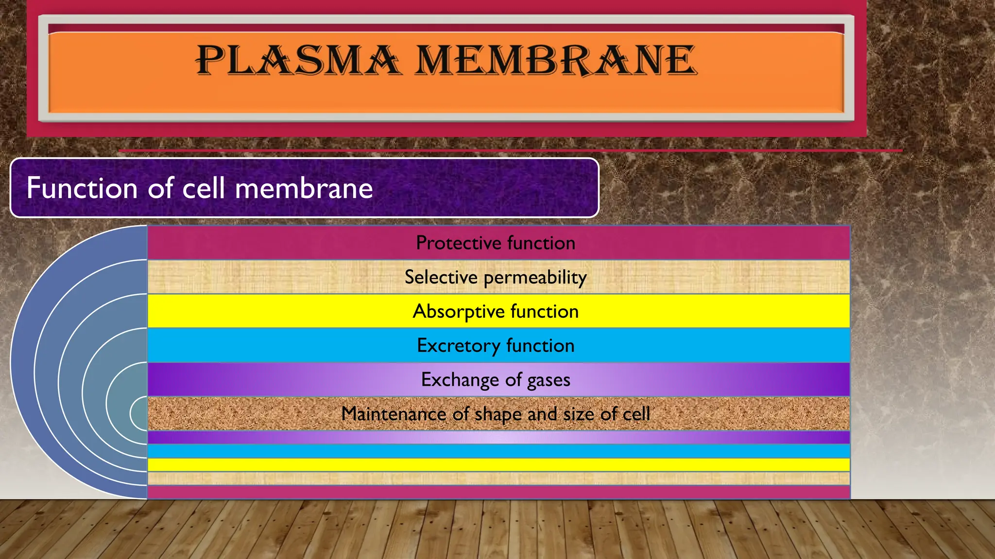 plasma membrane ppt by pradeep dhakar.pptx