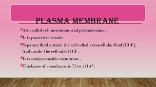 plasma membrane ppt by pradeep dhakar.pptx