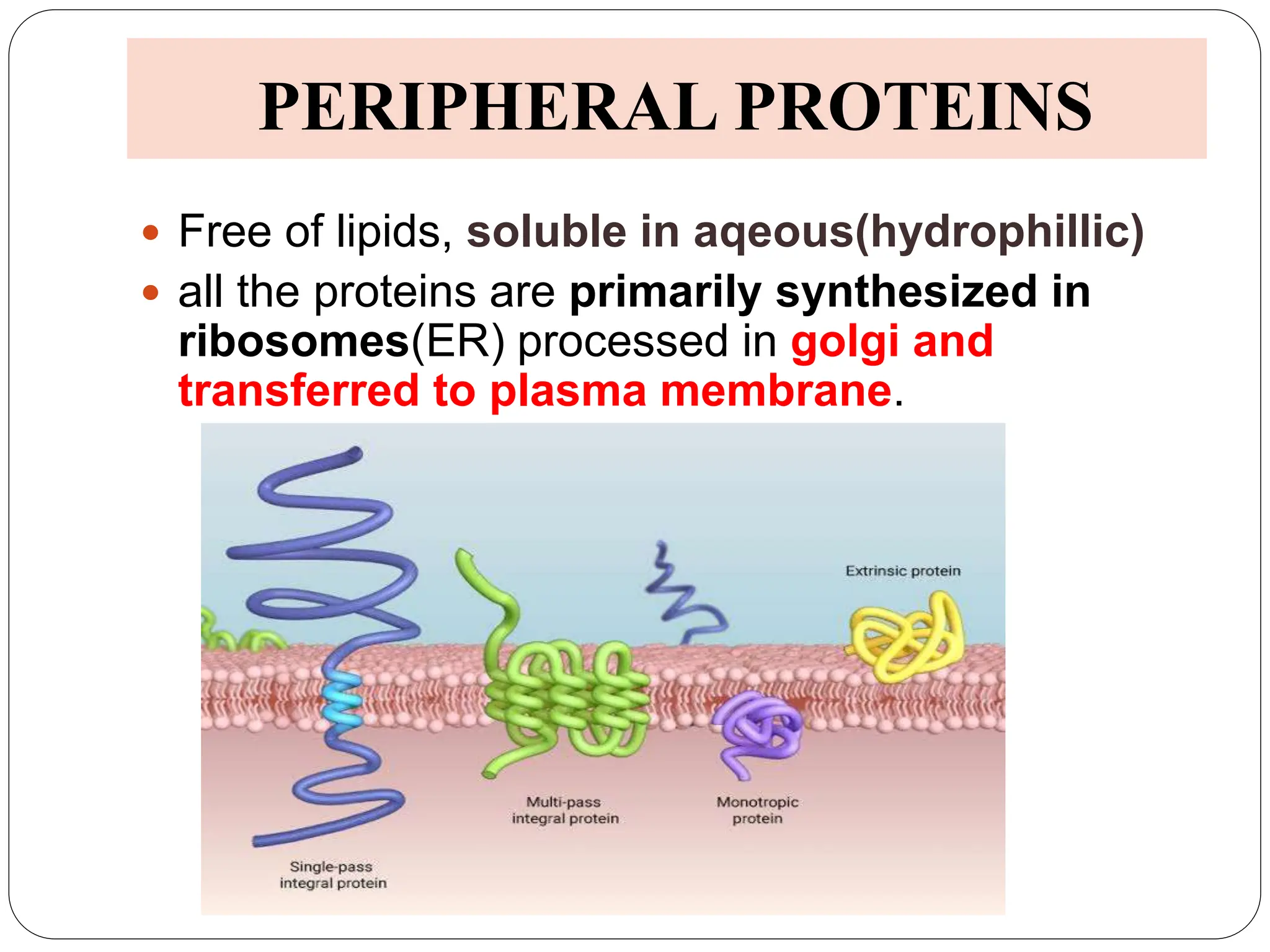 plasma membrane | PPTX