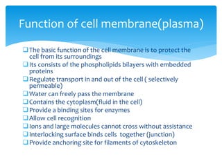 Plasma membrane presentation mmmmmm.pptx